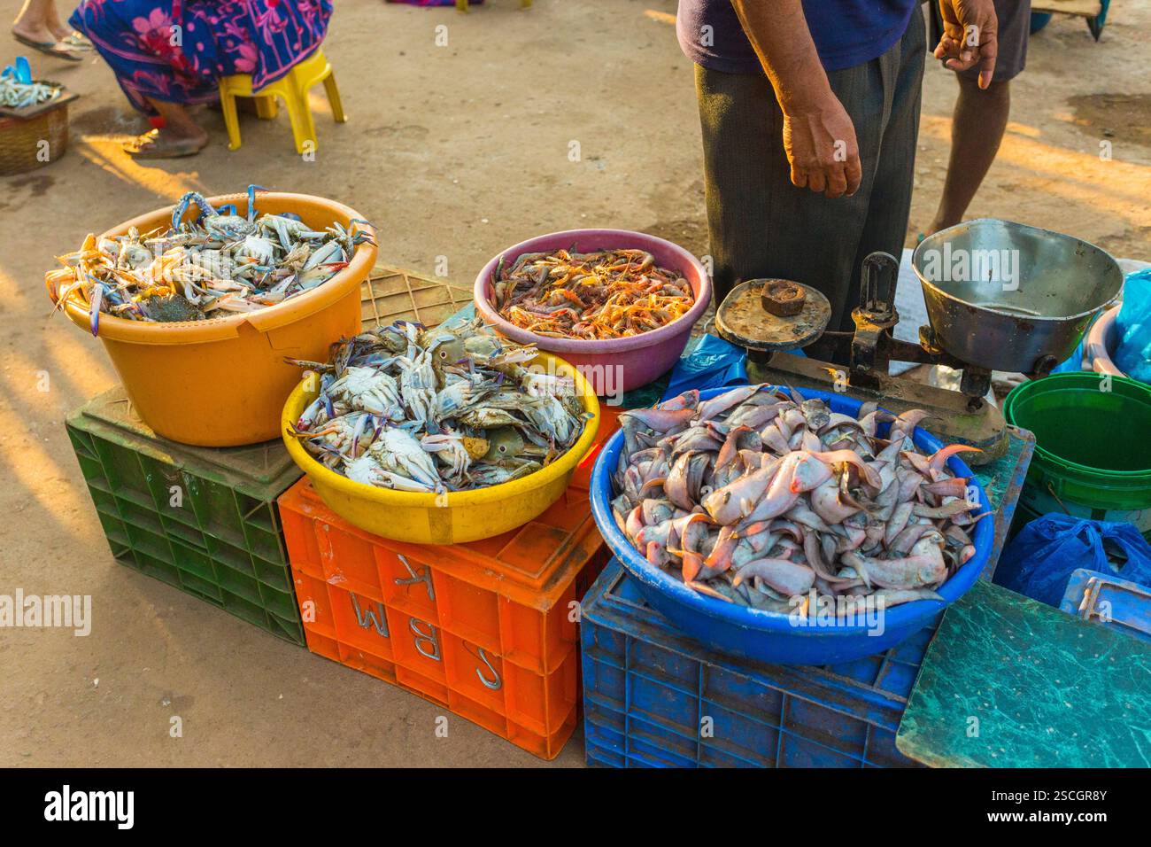 Sale of seafood in the markets of different cities of Goa and other ...