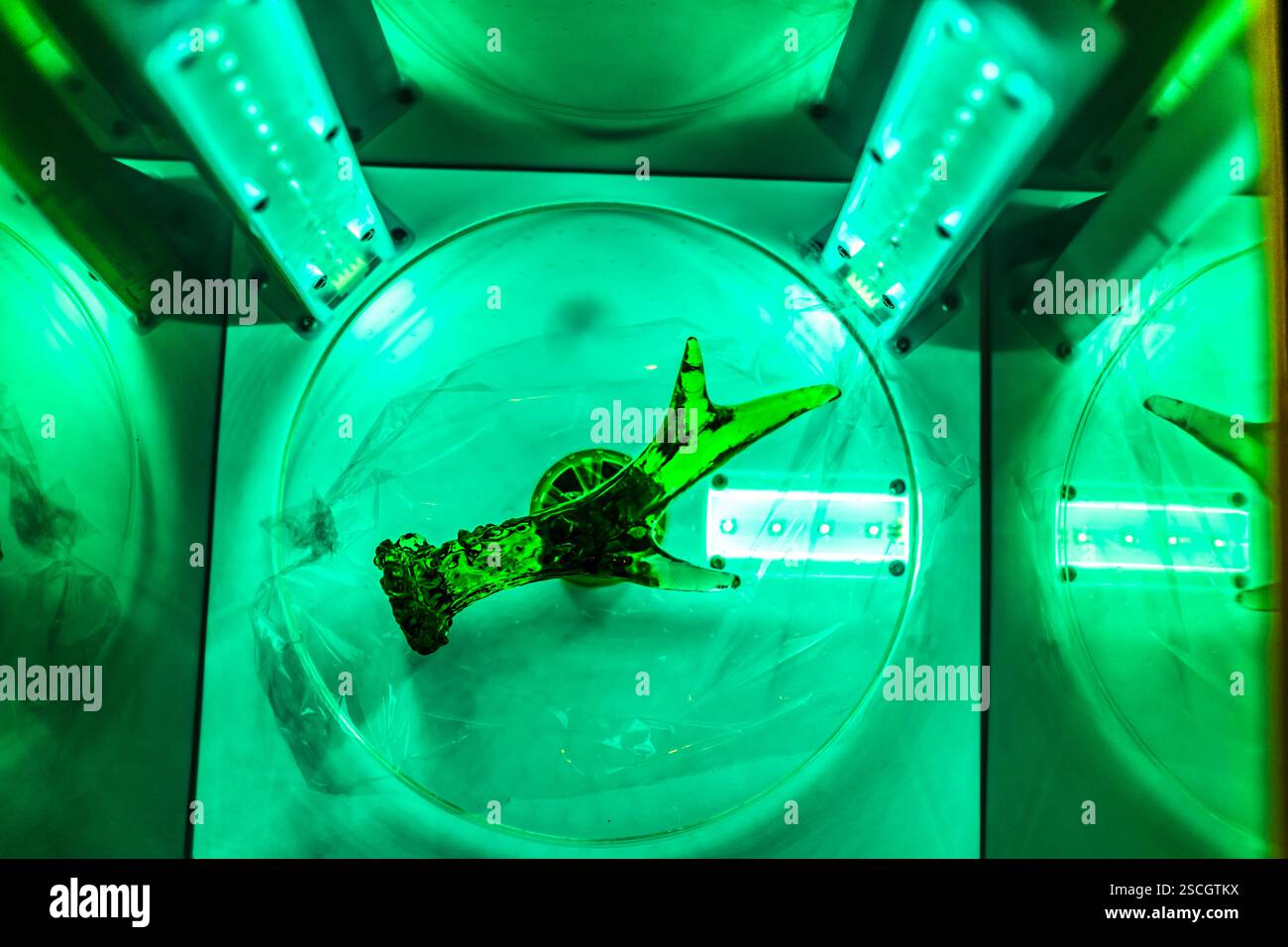 3d resin printing of a deer antler turning in a cure machine using UV ...