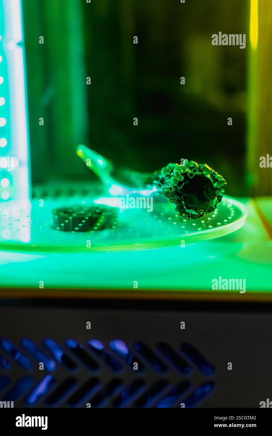 3d resin printing of a deer antler turning in a cure machine using UV ...