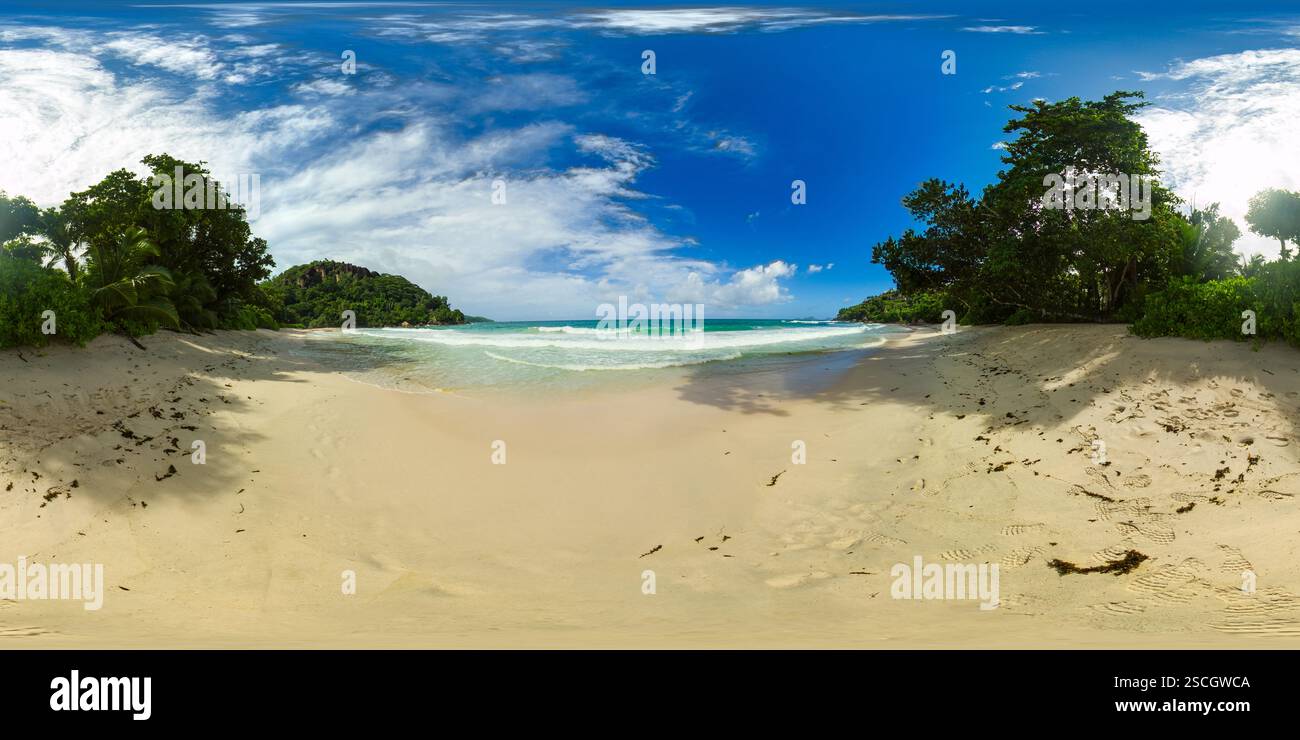 Gentle waves meet a quiet, sandy shore lined with dense tropical trees ...