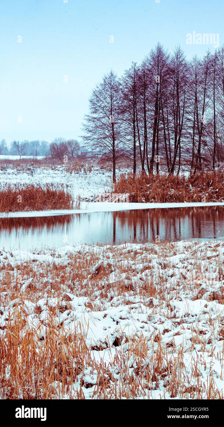Winter rural landscape with brook. First snow in the field. Winter ...