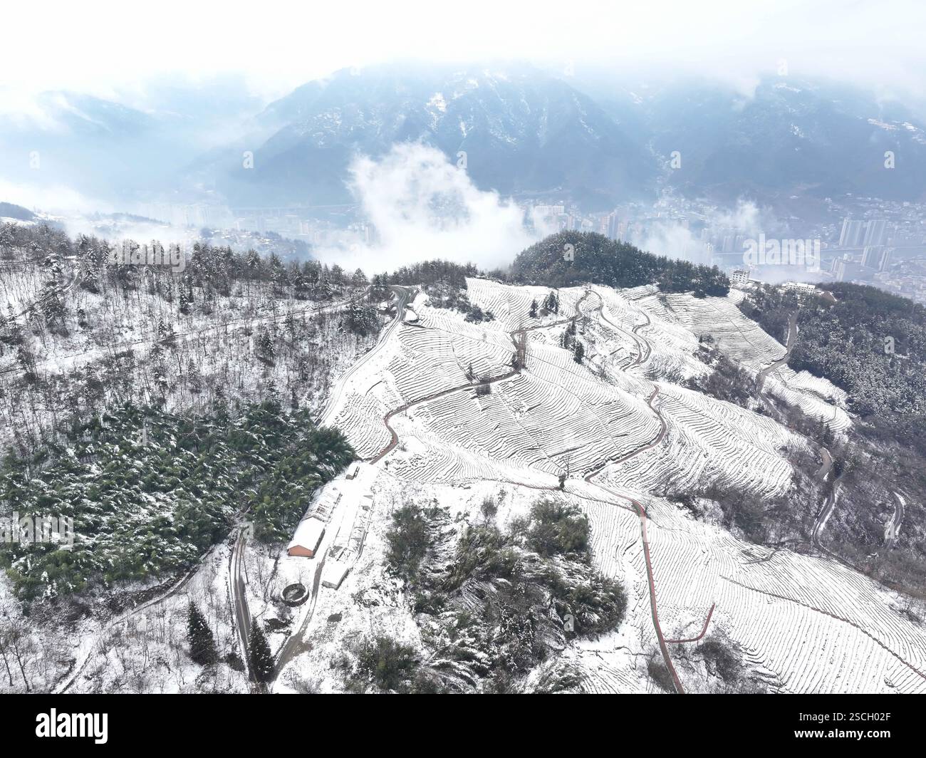 Aerial photo shows the snow scenery of a tea garden in Xiangyang City ...