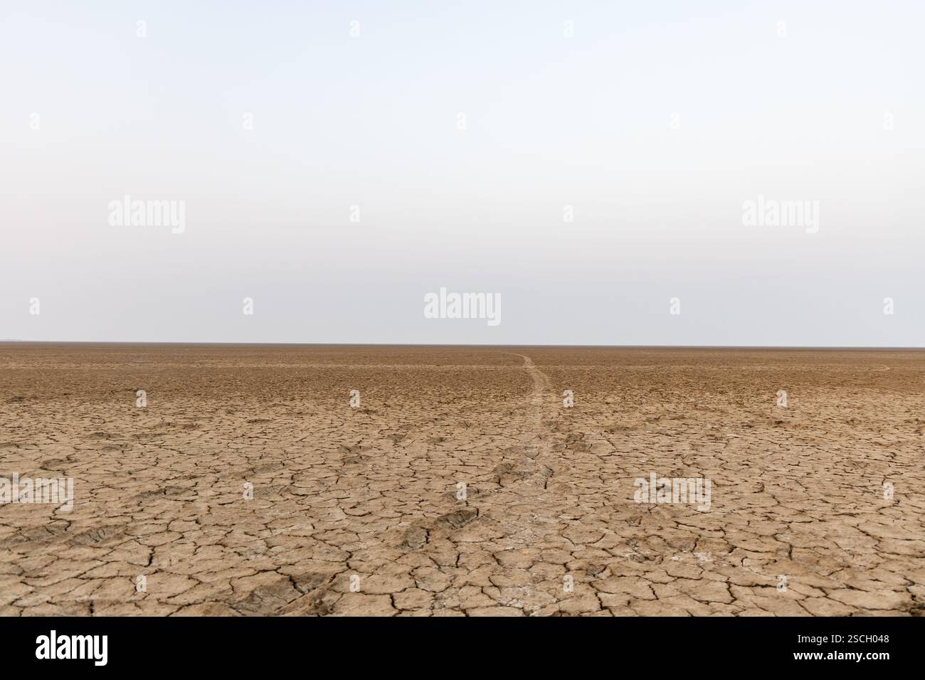 dry cracked farm fields with bright sky at morning Stock Photo - Alamy