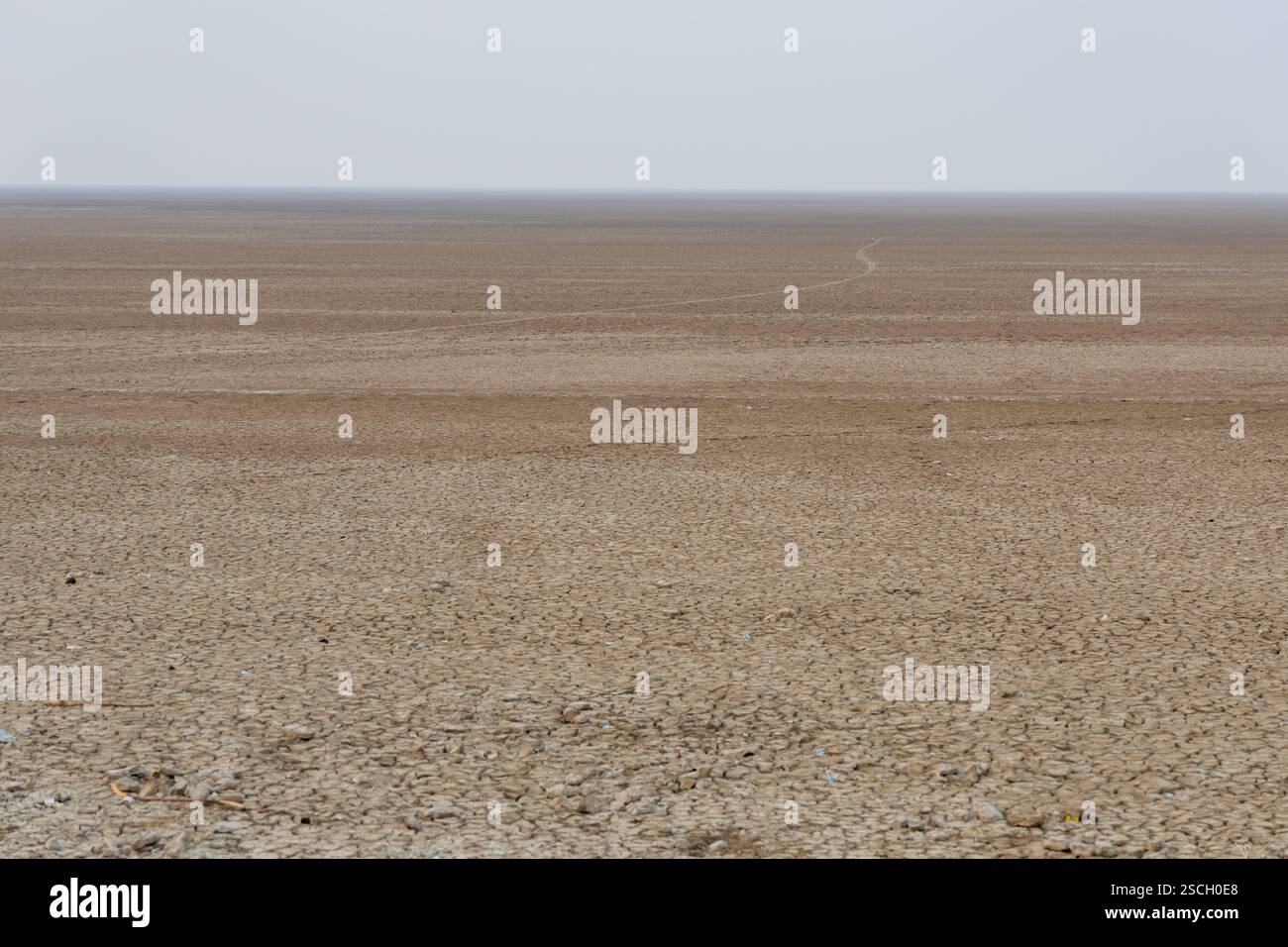 dry cracked farm fields with bright sky at morning Stock Photo - Alamy