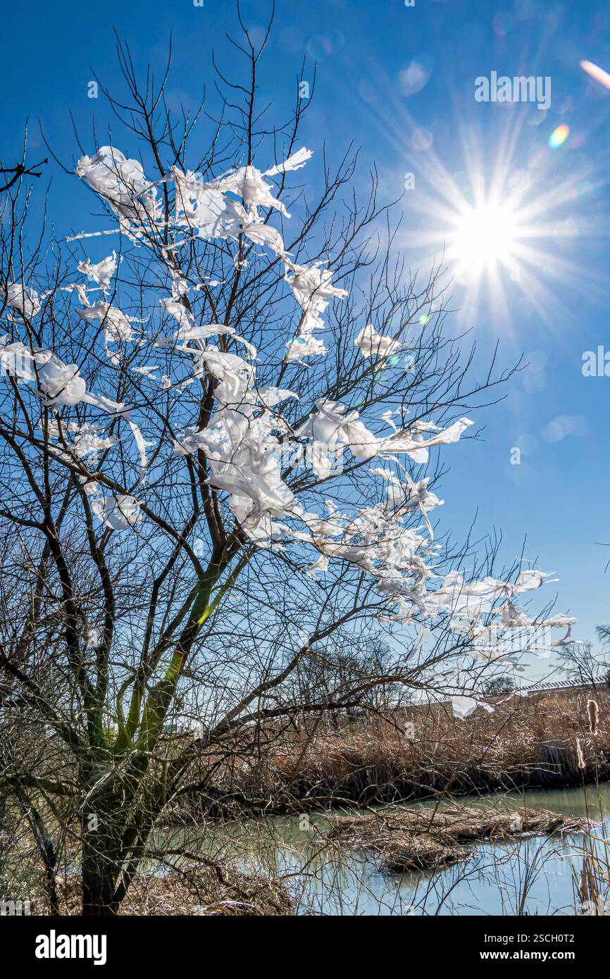 Plastic pollution tree hi-res stock photography and images - Alamy