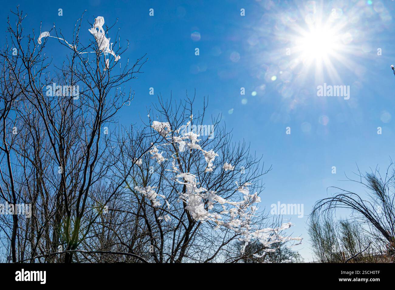 environment, plastic, pollution, tree Stock Photo - Alamy