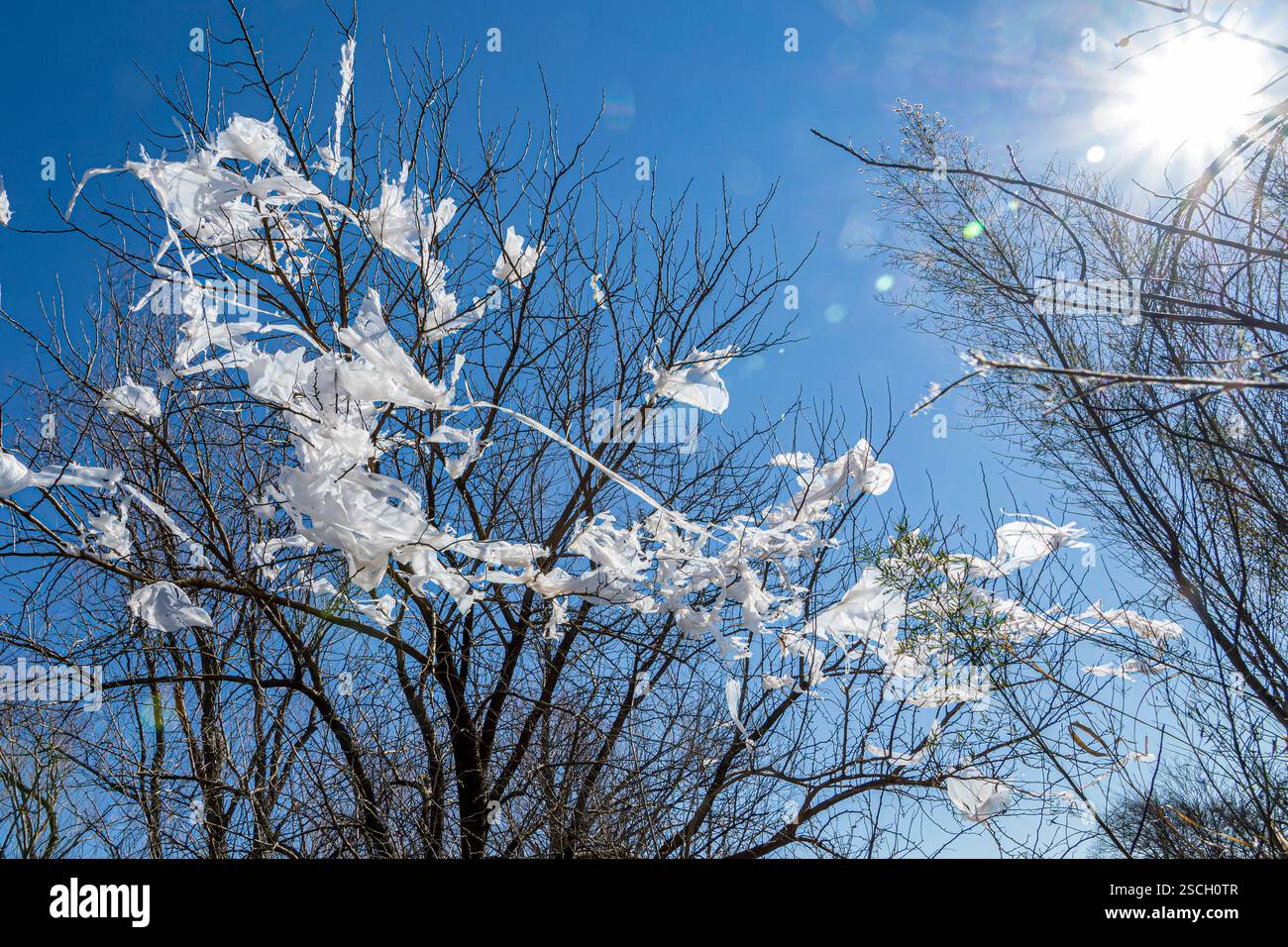 environment, plastic, pollution, tree Stock Photo - Alamy