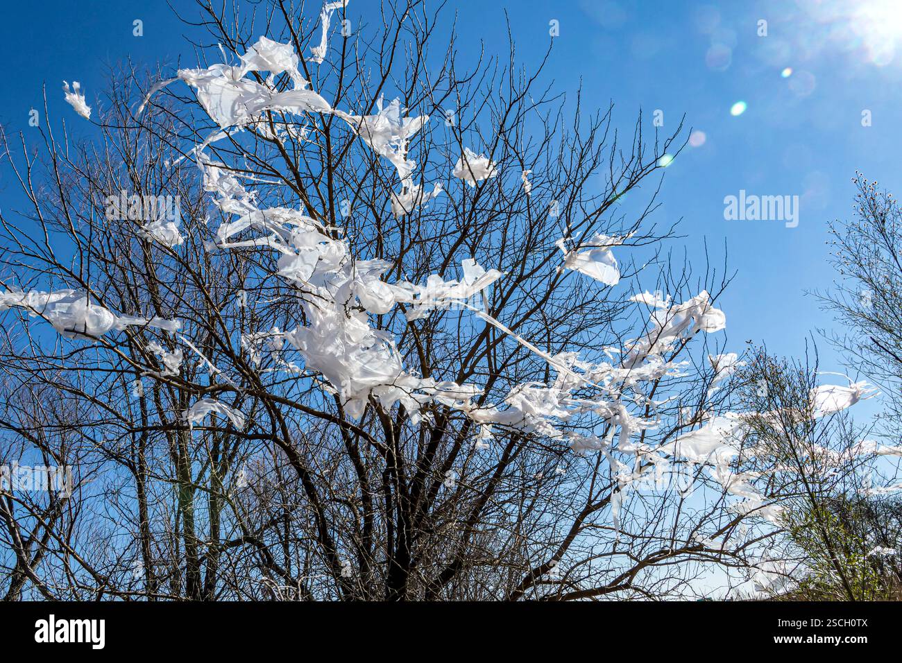 Plastic pollution tree hi-res stock photography and images - Alamy