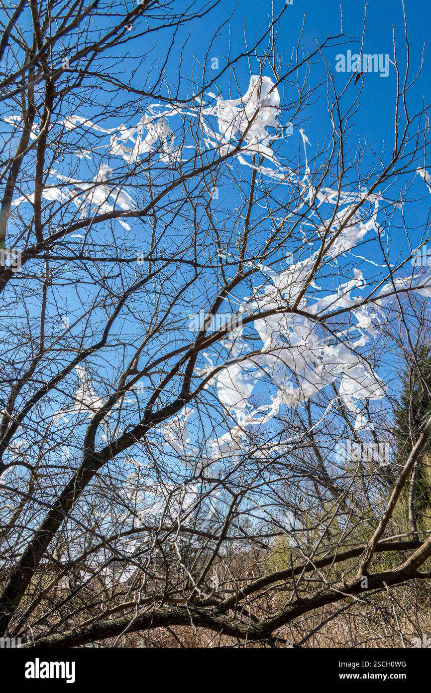 Plastic pollution tree hi-res stock photography and images - Alamy