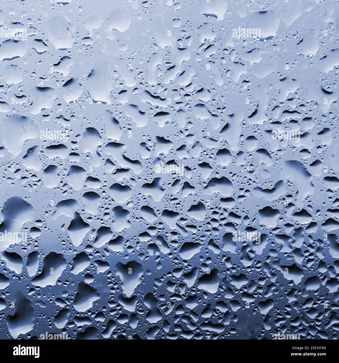 Macro background with water droplets condensation pattern Stock Photo ...