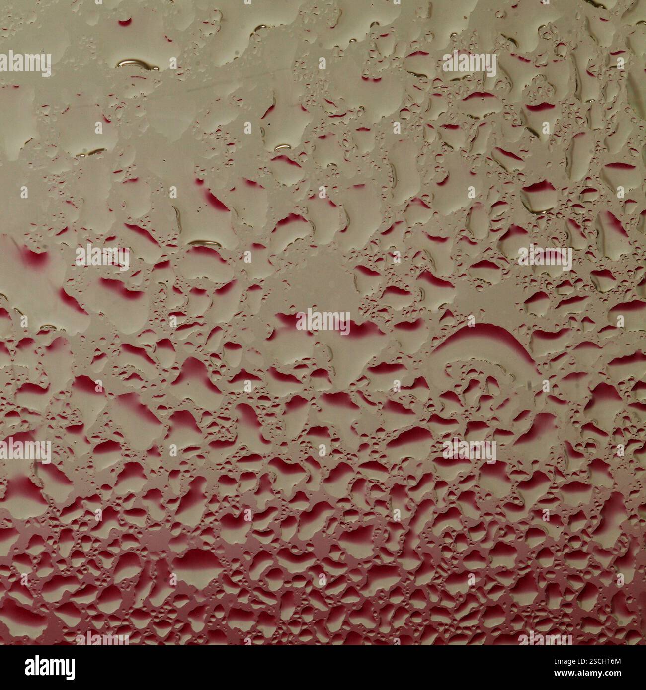 Macro background with water droplets condensation pattern Stock Photo ...