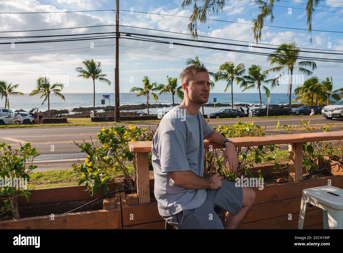 Backdrop of palm trees add hi-res stock photography and images - Alamy