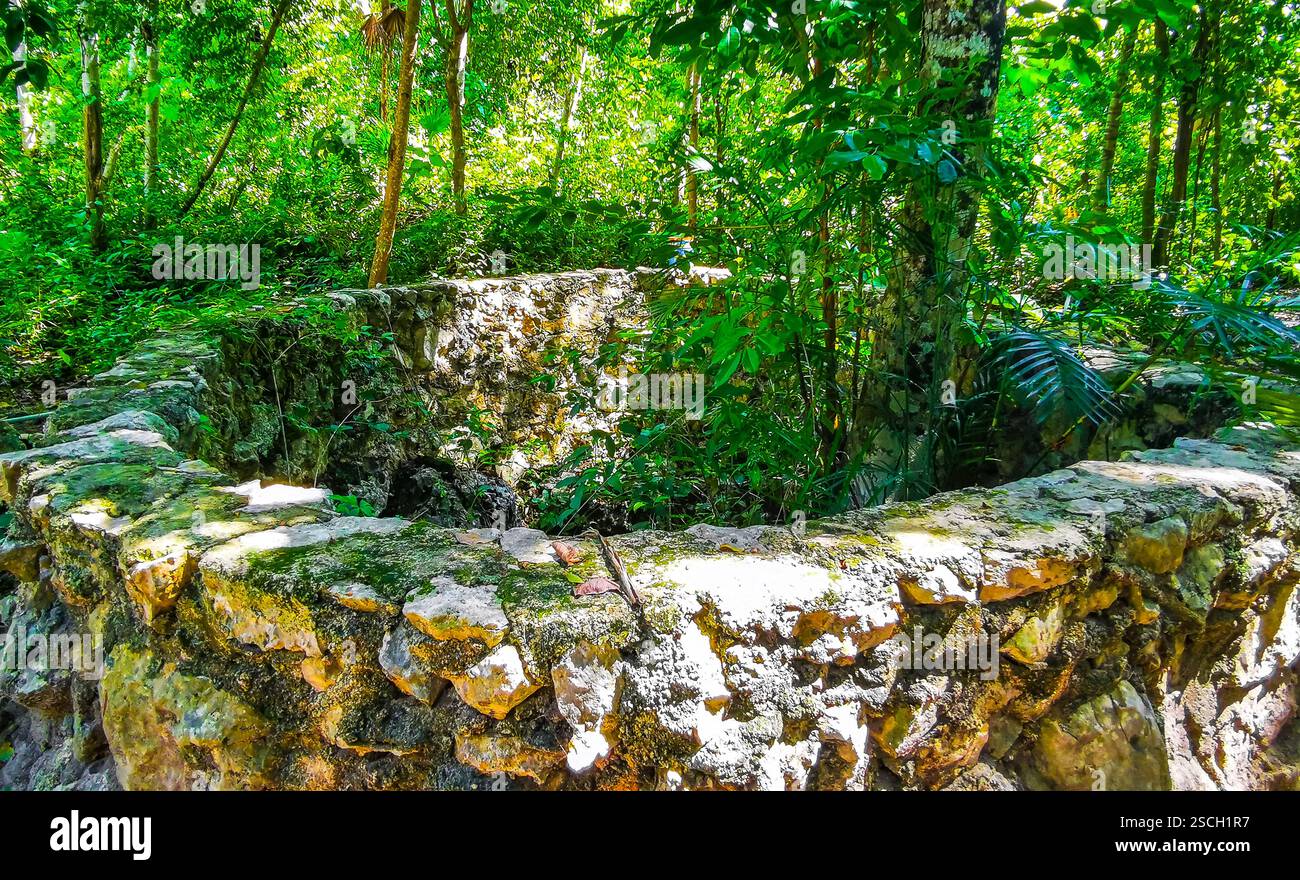 Beautiful Cenote Park Yaxmuul with limestone rocks turquoise blue green ...