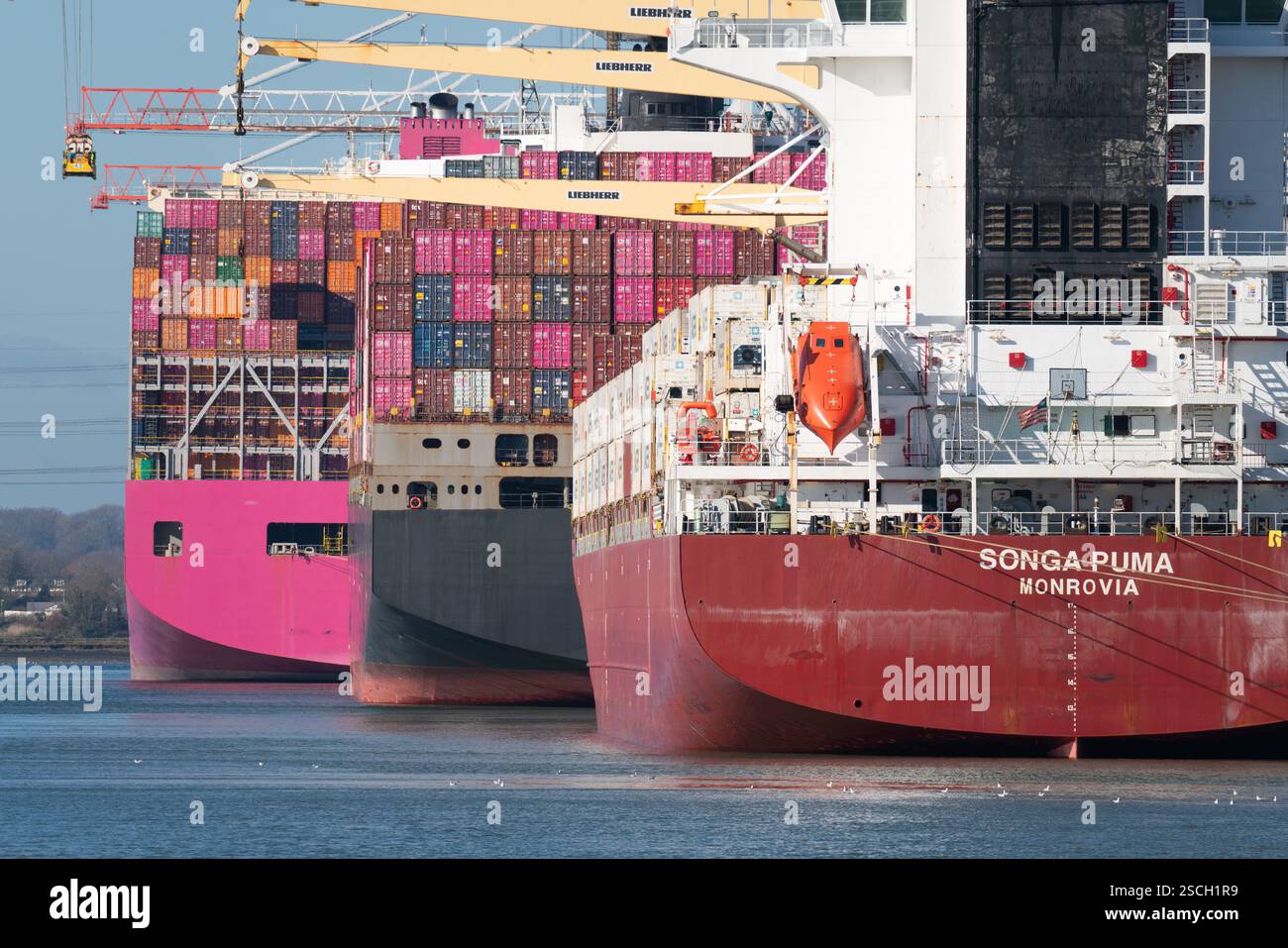 Container ships being unloaded at Southampton Container Port Stock ...