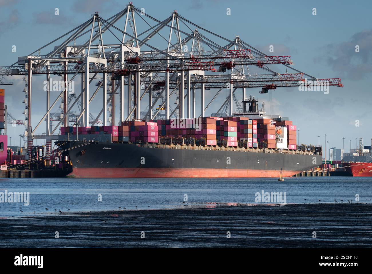 A container ship, the Argus, being unloaded at Southampton Container ...