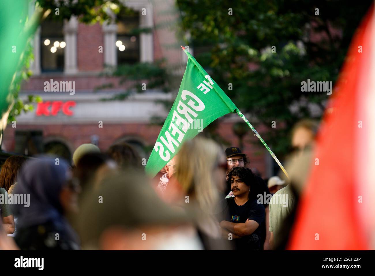 Sydney, Australia. 07th Feb, 2025. Greens flags during a Pro-Palestine rally at Sydney Town Hall ...