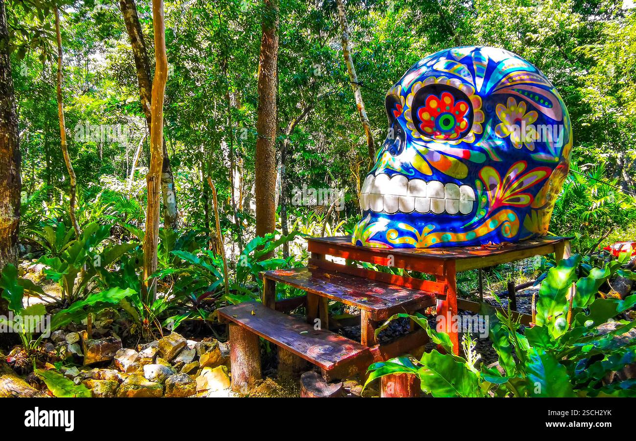 Tulum Quintana Roo Mexico 10. October 2023 Yaxmuul and Yaxmulito Cenote ...