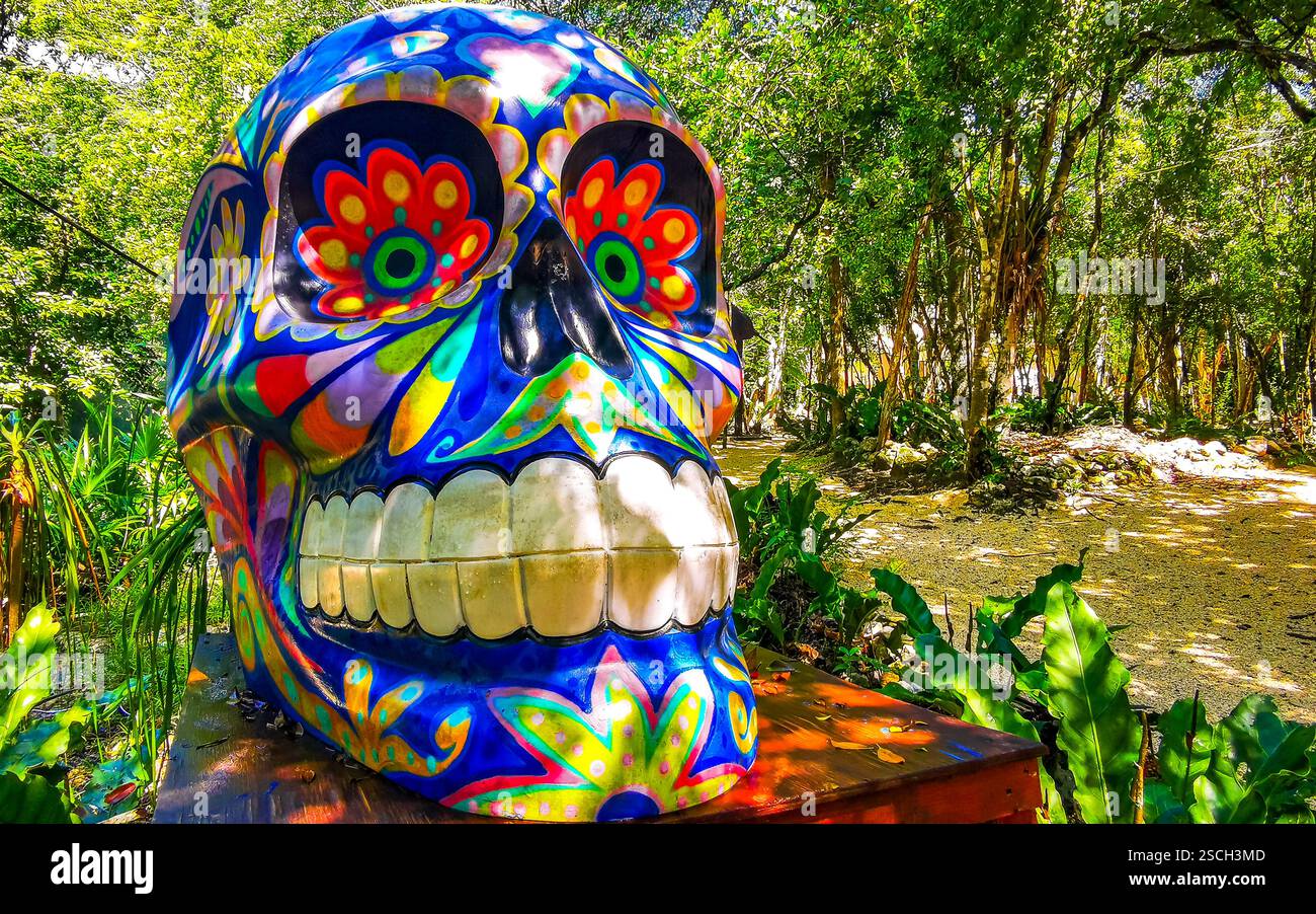 Yaxmulito cenote hi-res stock photography and images - Alamy