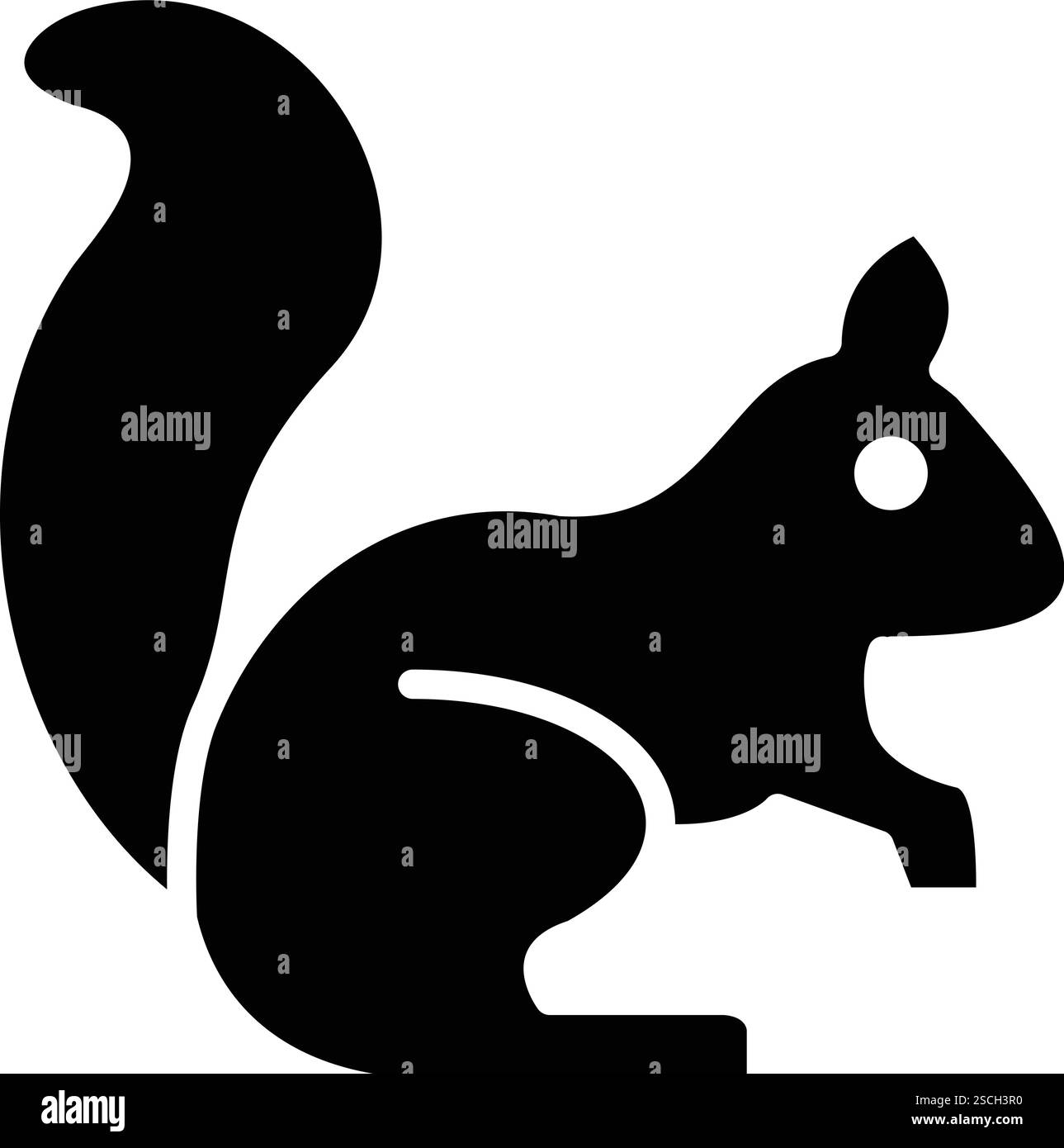 Minimal squirrel hi-res stock photography and images - Alamy
