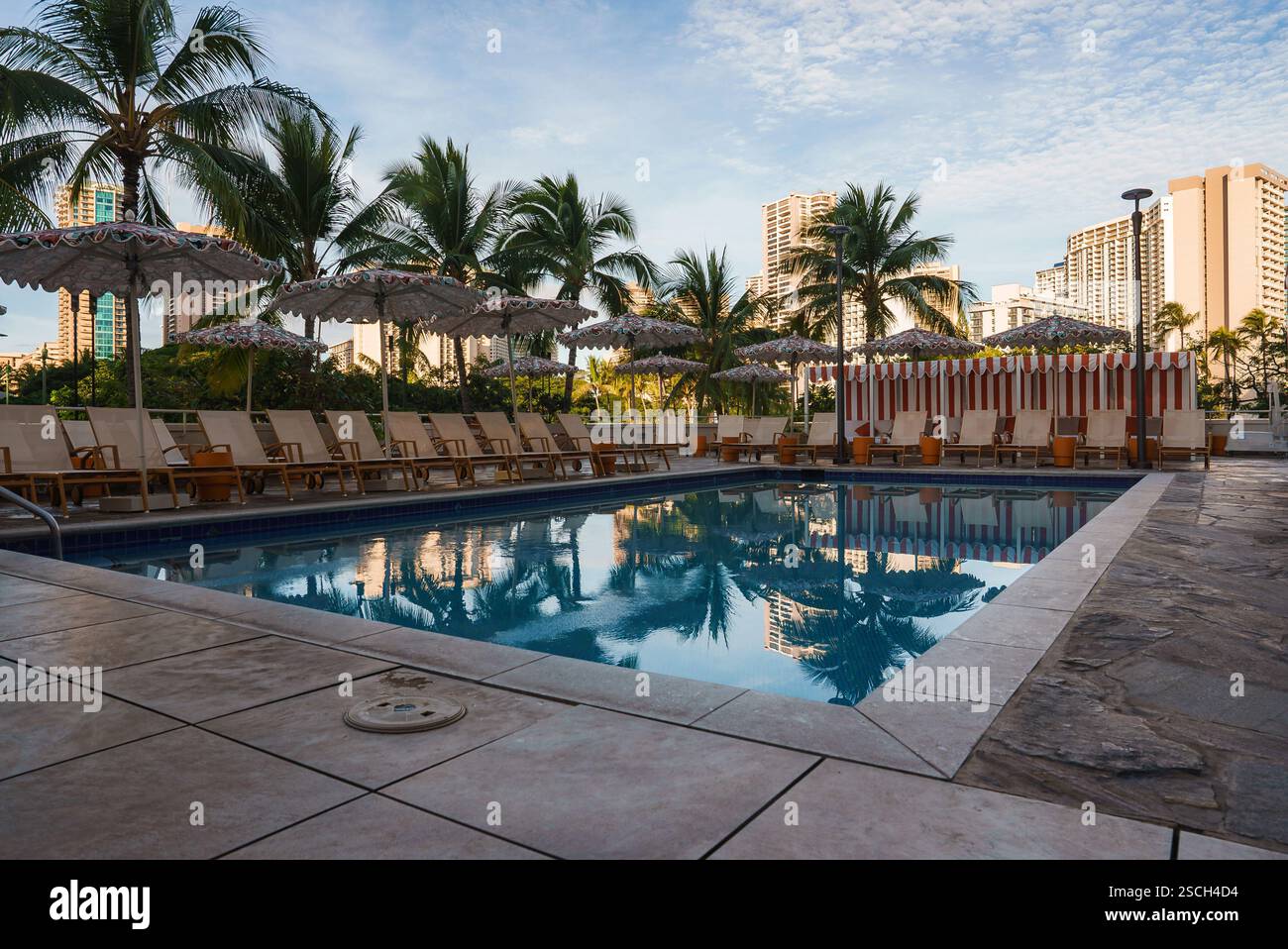 Outdoor Pool with Palm Trees and High Rise Buildings in Honolulu Stock ...
