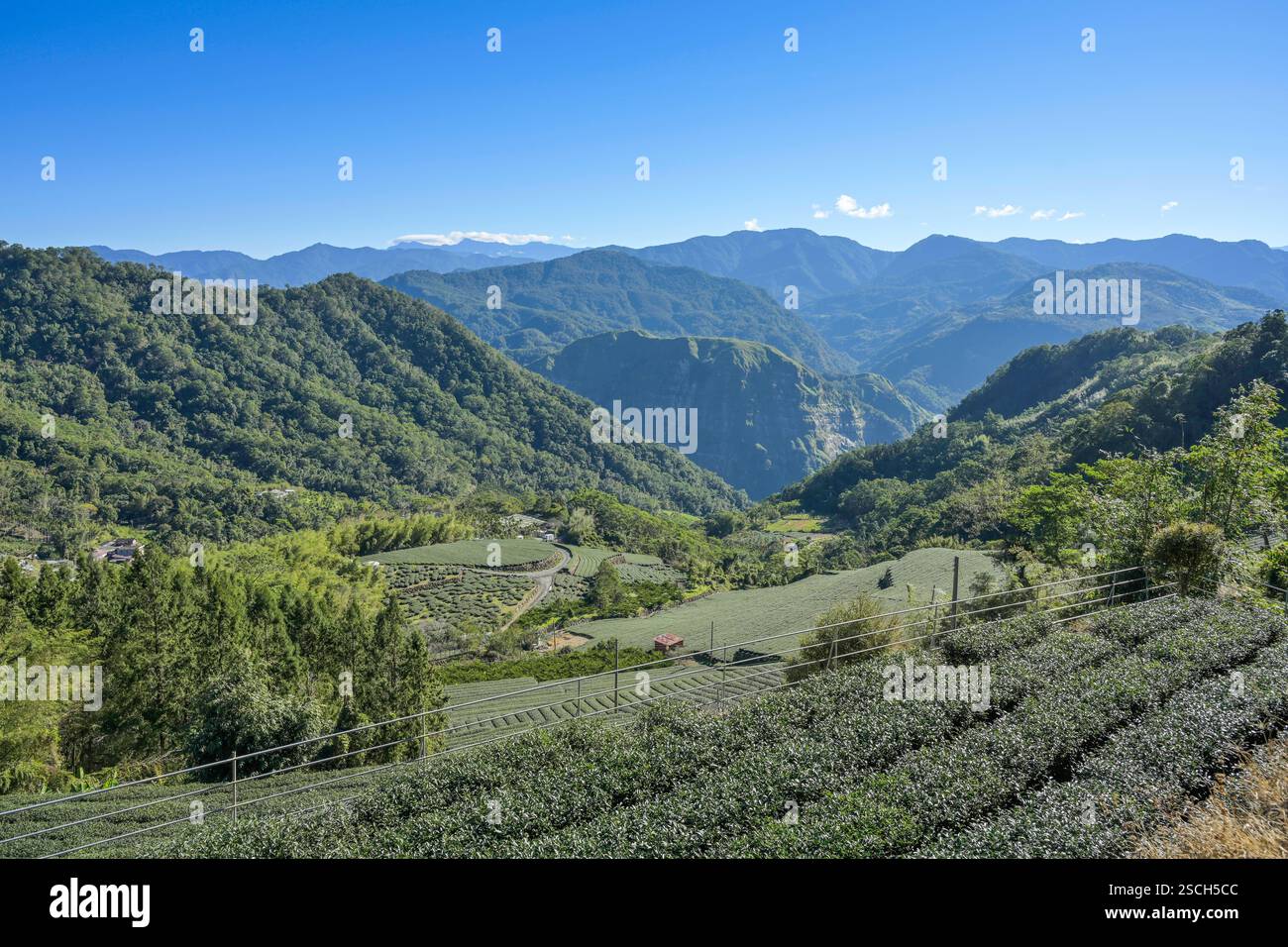 Teeplantage, Terrassen im Fanlu Township nahe Eryanping, Bergregion im ...