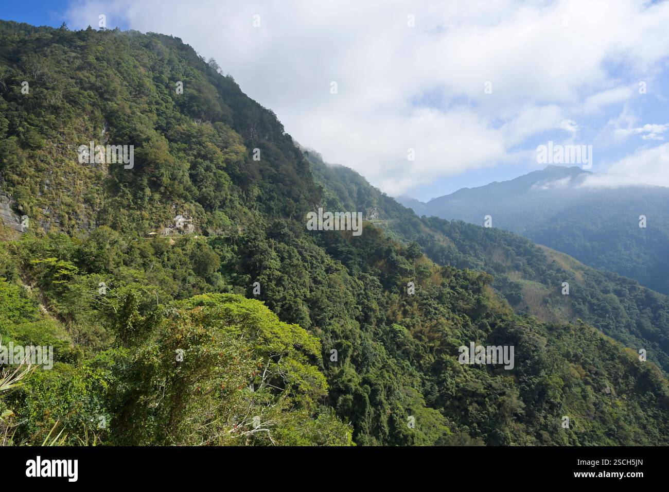 Berglandschaft, Mittelgebirge im Alishan Township, Chiayi County ...