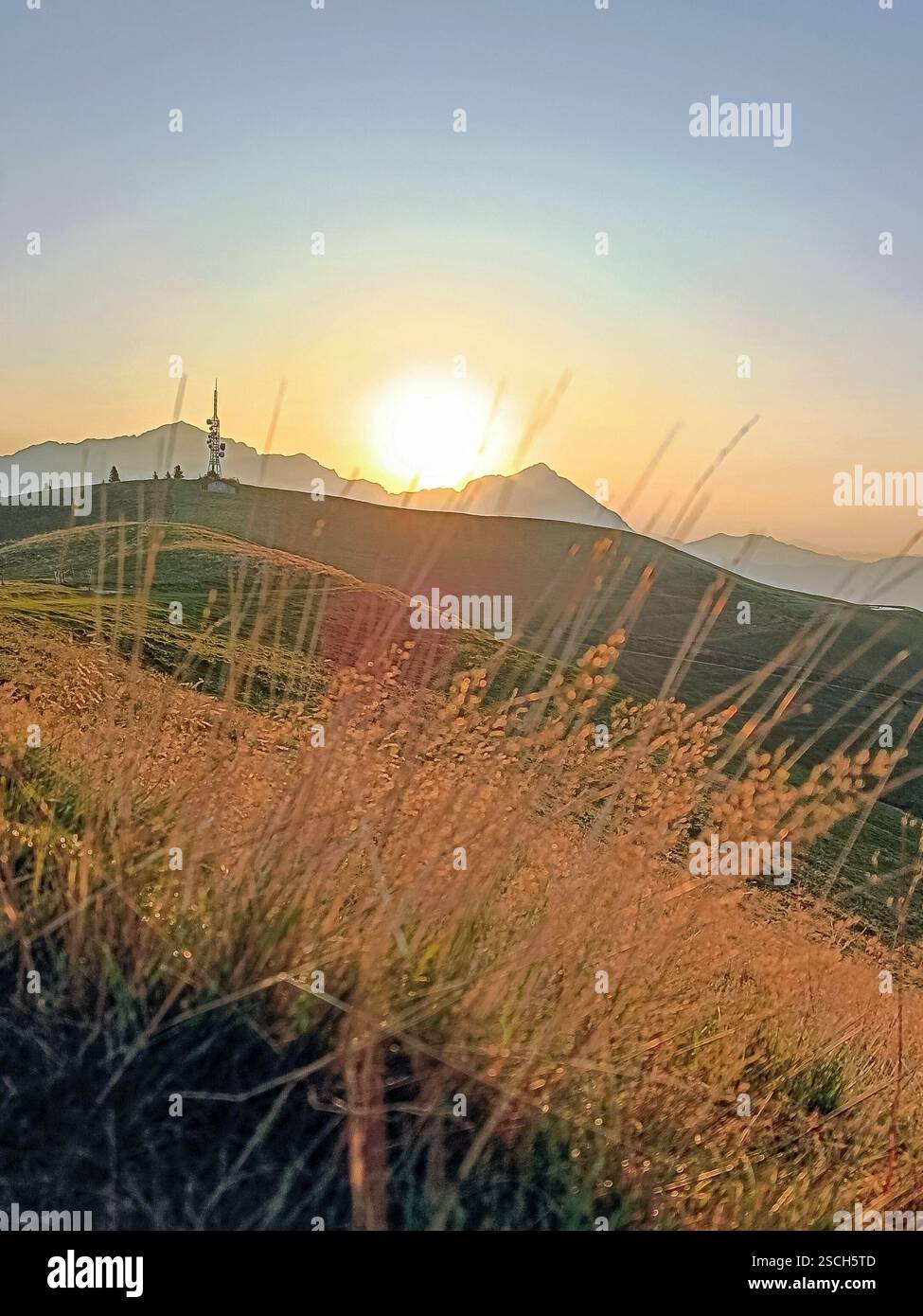 Panorama summer forest on slope hi-res stock photography and images - Alamy