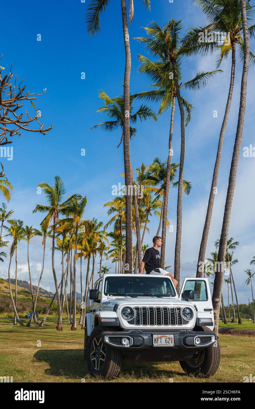 White Jeep Parked Among Palm Trees in a Tropical Hawaii Setting Stock ...