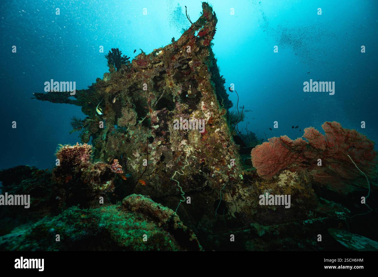 wreck of an old fishing vessel in the Maldives Stock Photo - Alamy
