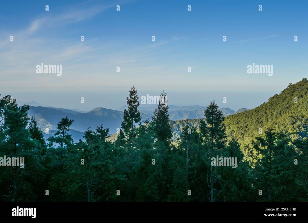 Berglandschaft, Mittelgebirge im Alishan Township, Chiayi County ...