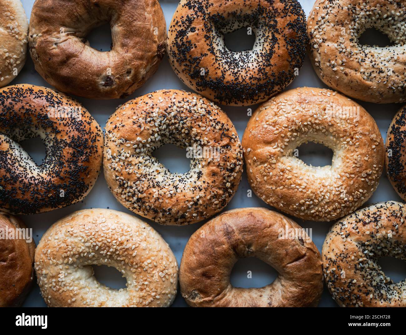 Top view of rows of many assorted bagels filling the frame Stock Photo ...