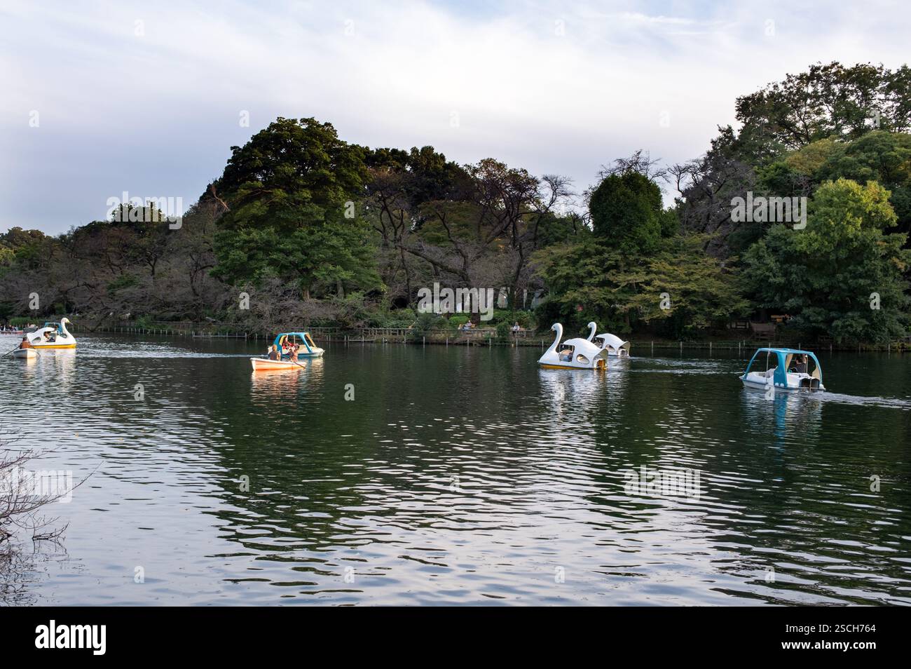 Inokashira Park and Gardens in Kichijoji in Tokyo Japan Stock Photo - Alamy