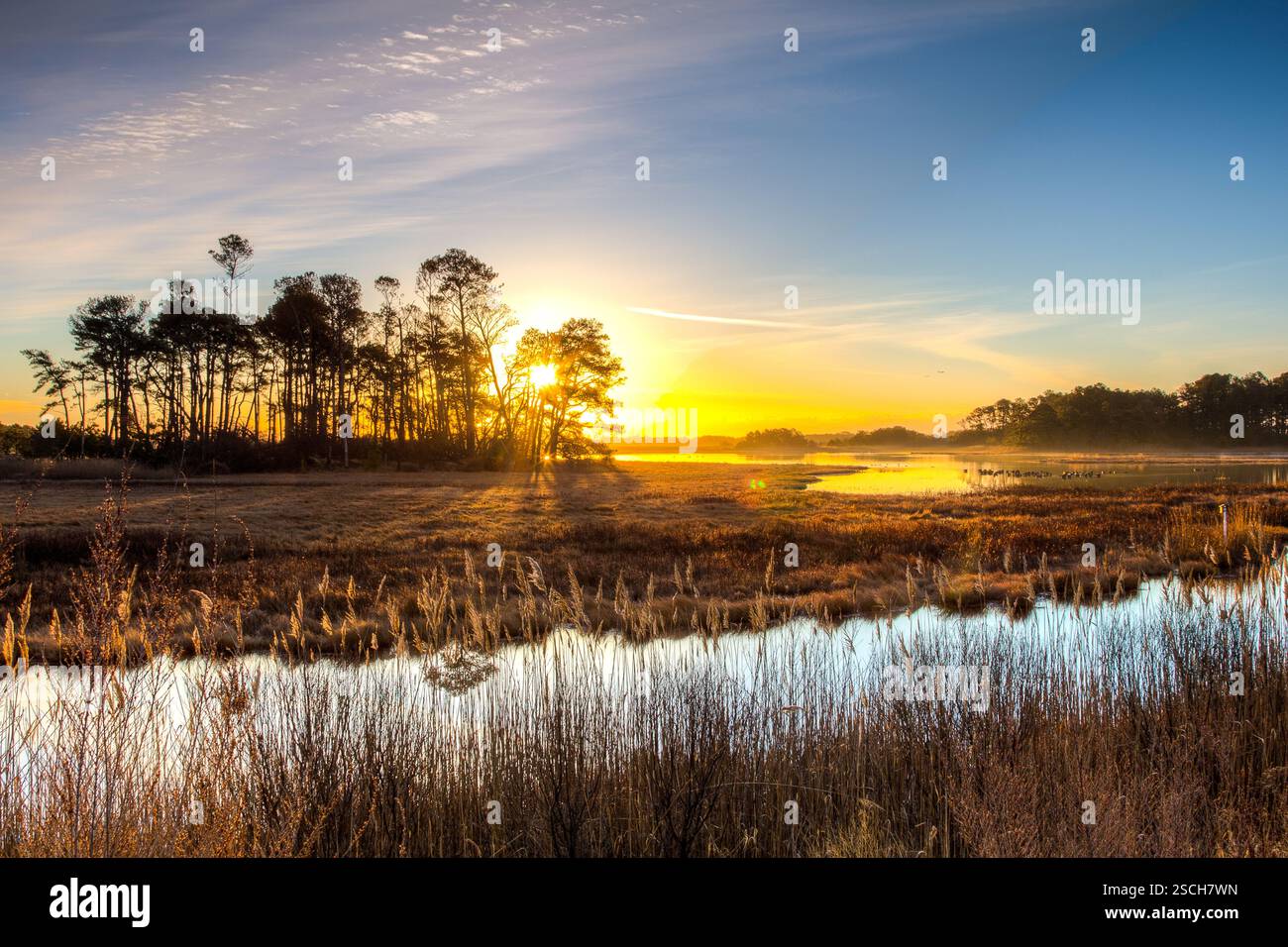 Sunrise over a marsh; birds rest on the water. Nature's beauty Stock ...