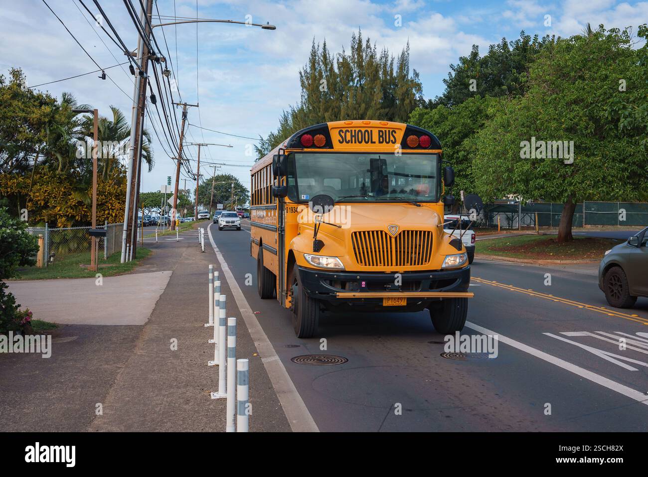 Yellow School Bus on Suburban Road with Tropical Vegetation in Hawaii ...