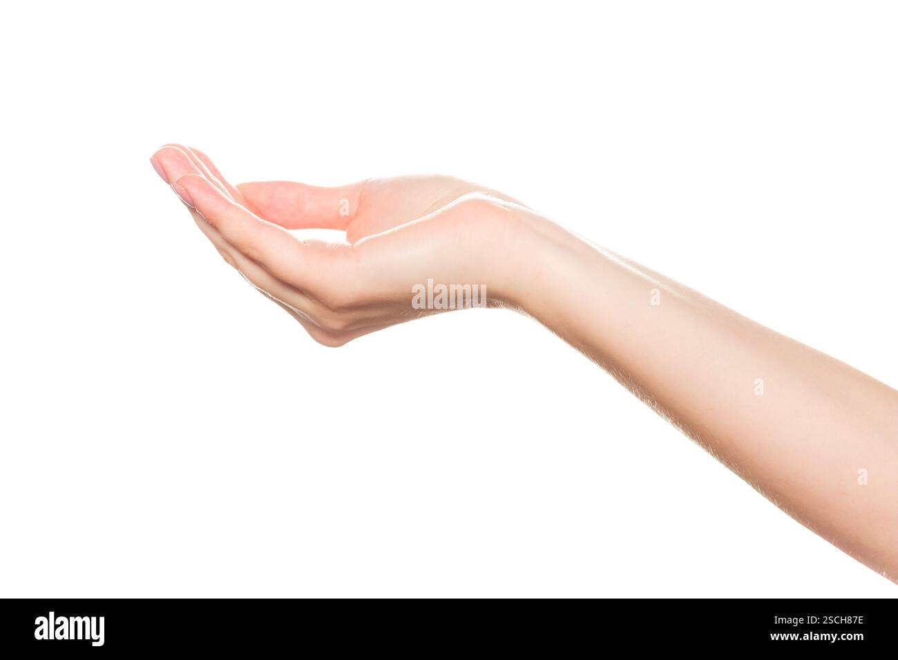 Hand extended in a gesture of offering or greeting against a plain ...