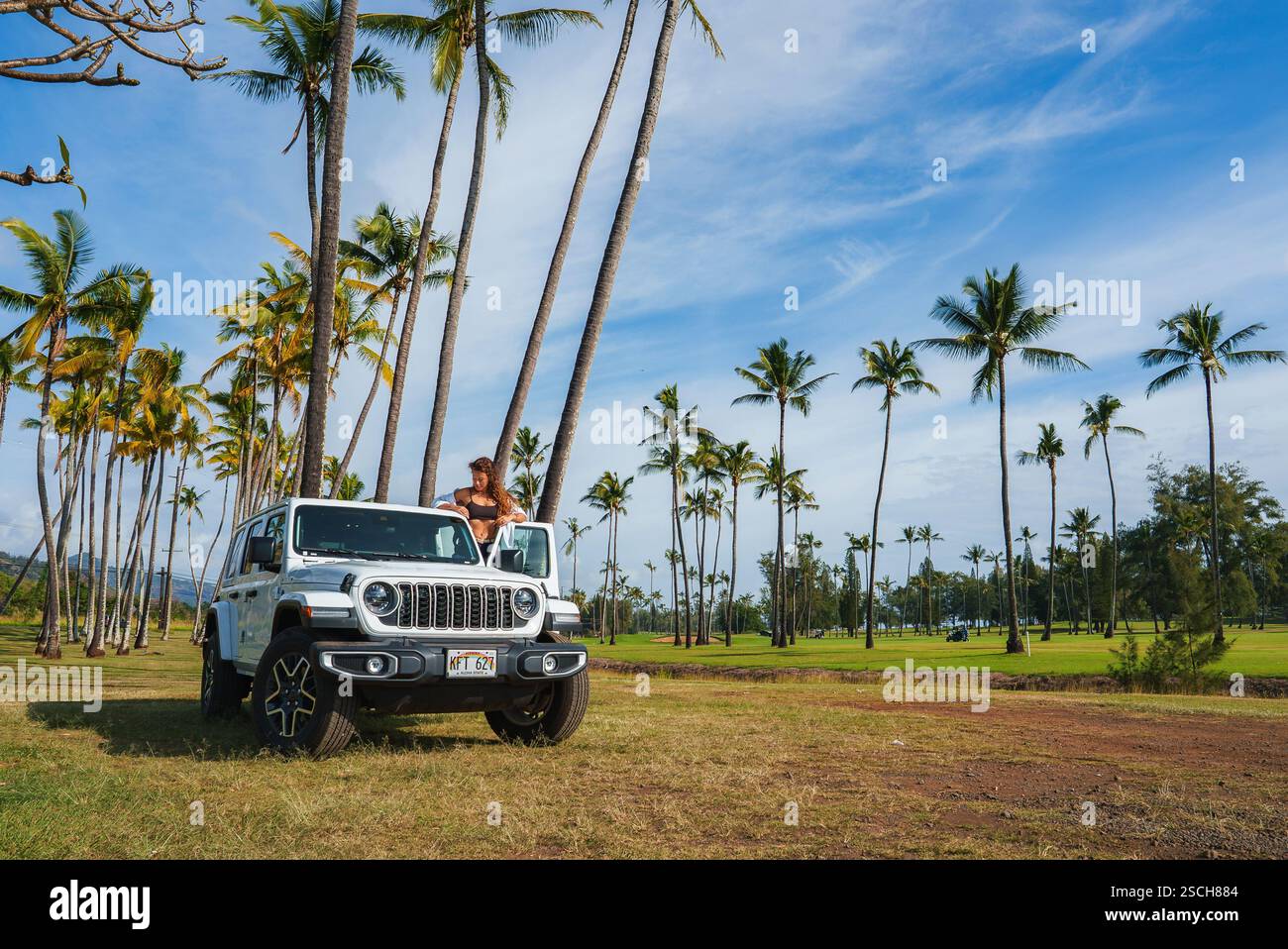 White Jeep Parked Among Palm Trees on a Tropical Hawaiian Island Stock ...