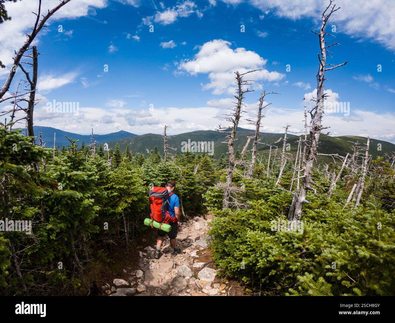 Male backpacker hiking through New Hampshire's Pemigewasset Wilderness ...