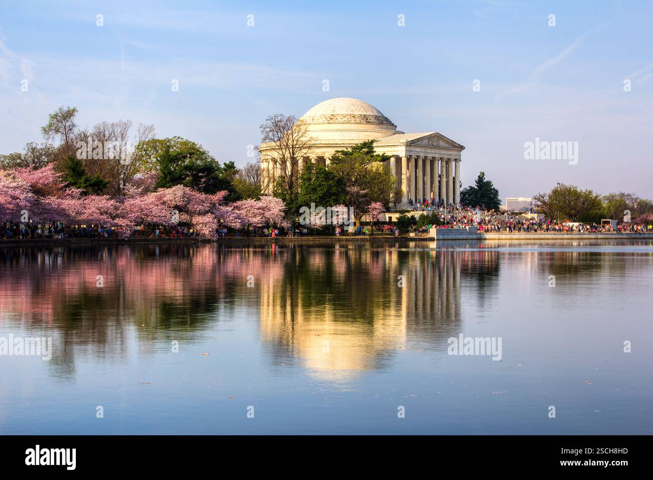 Cherry blossoms bloom, visitors admire the Jefferson Memorial reflection. Beautiful spring day ...