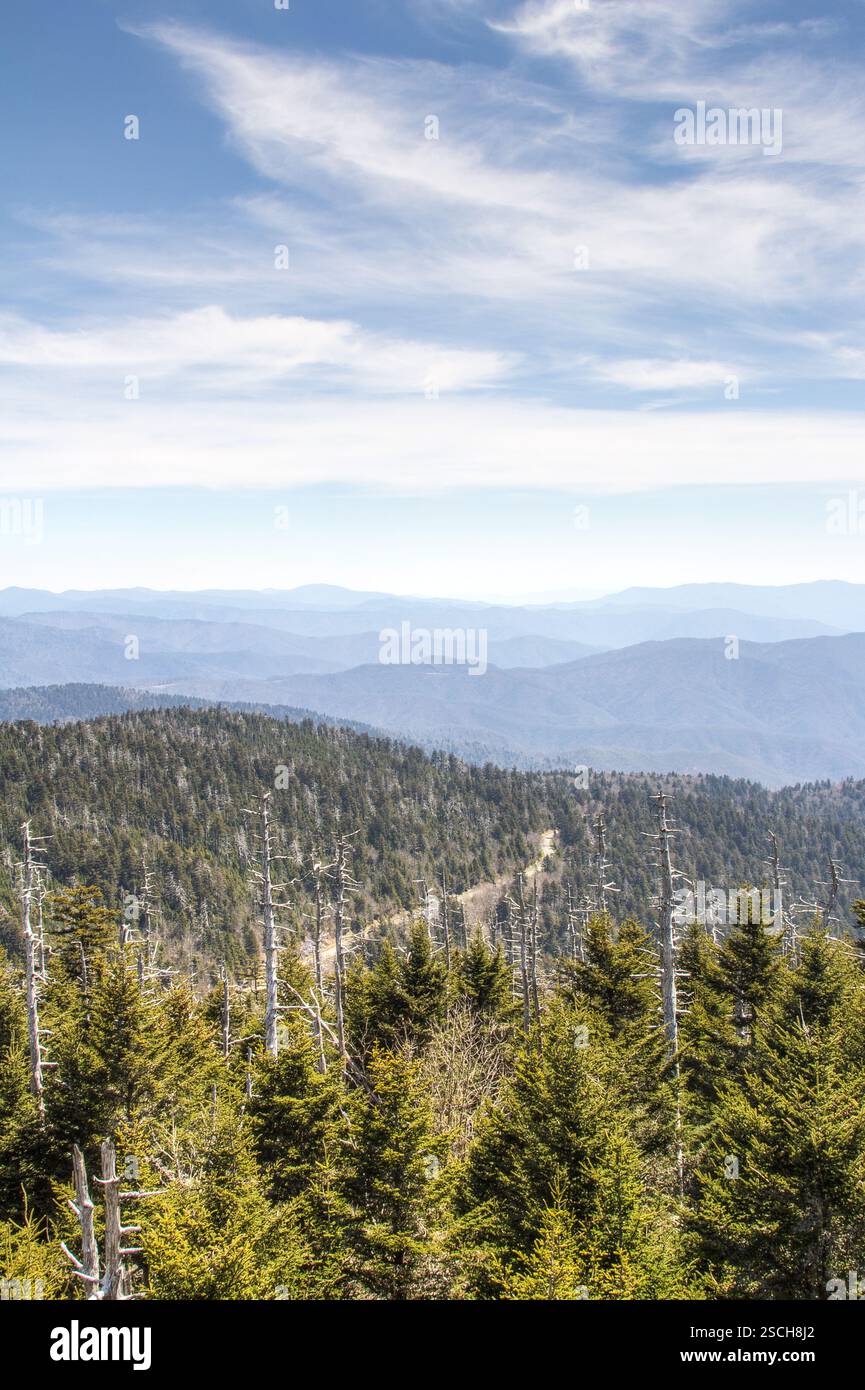 Dead trees with mountain view hi-res stock photography and images - Alamy