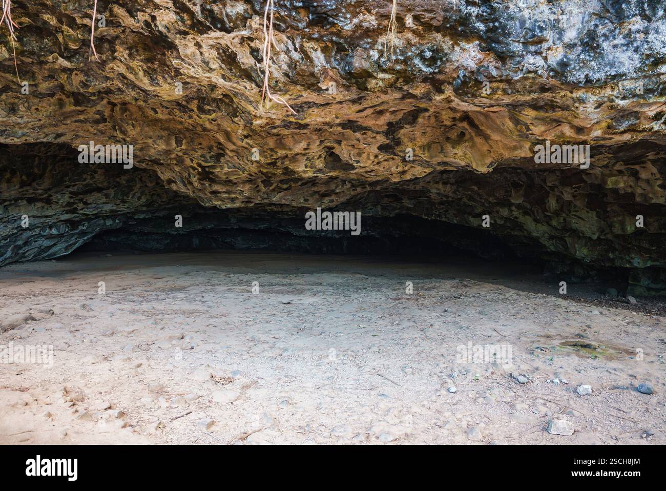 Entrance to a Natural Cave with Textured Rock Ceiling and Vines Stock ...