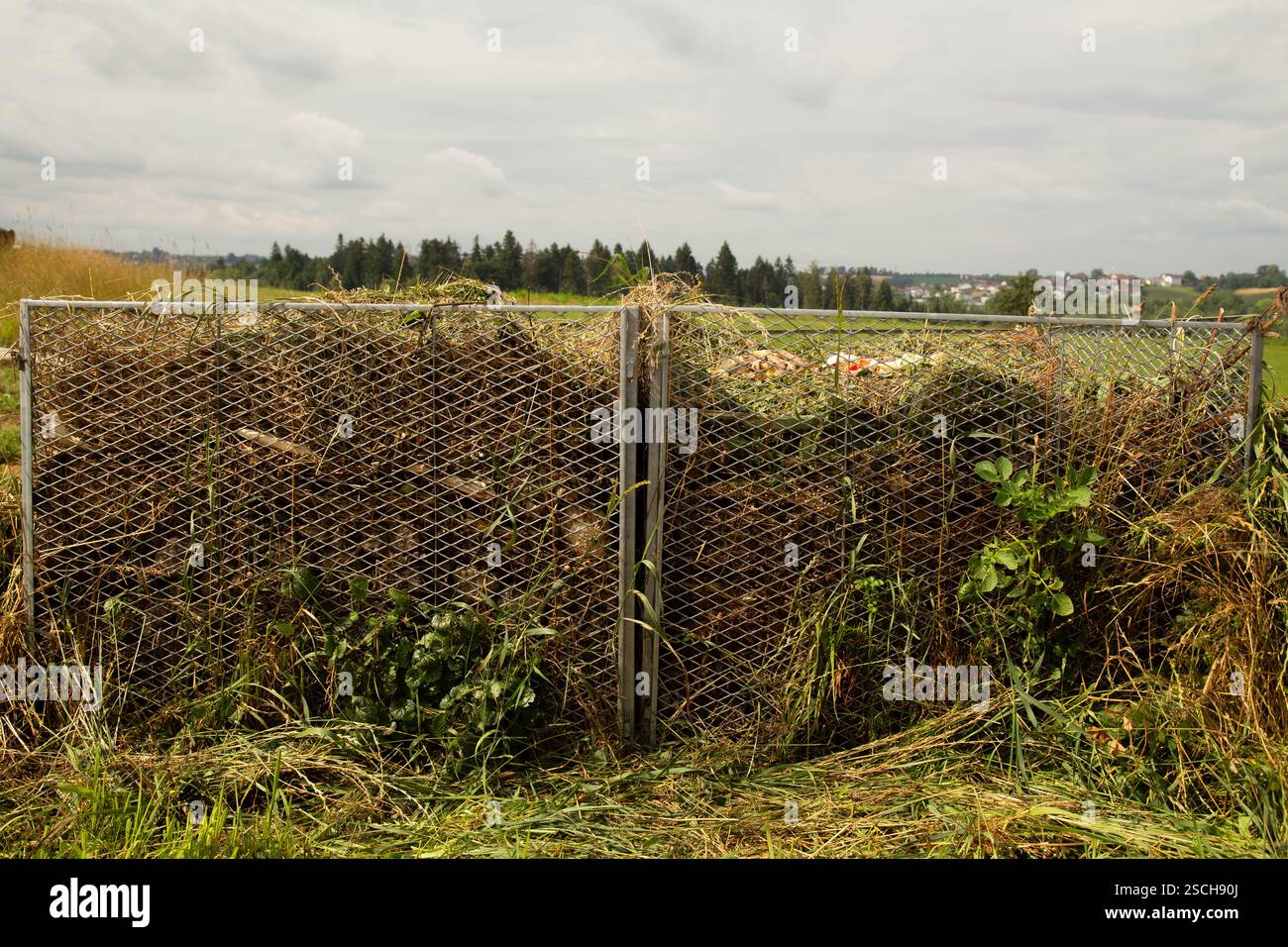 Composting vegetable scraps in a garden bin for sustainable organic ...