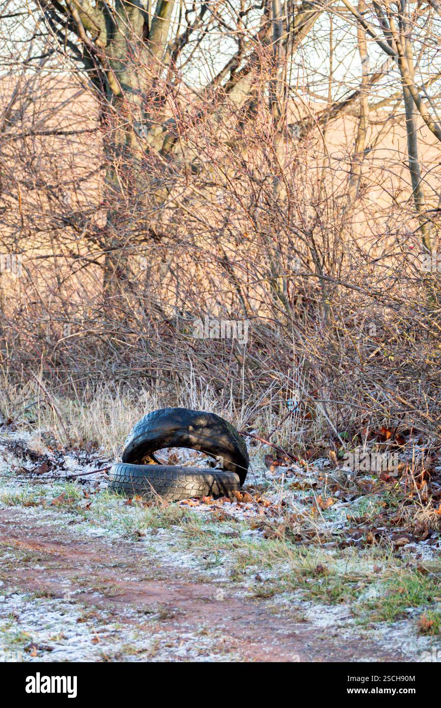 Old car tires left in nature. Forest polluted, pollution of nature with garbage. Environmental ...