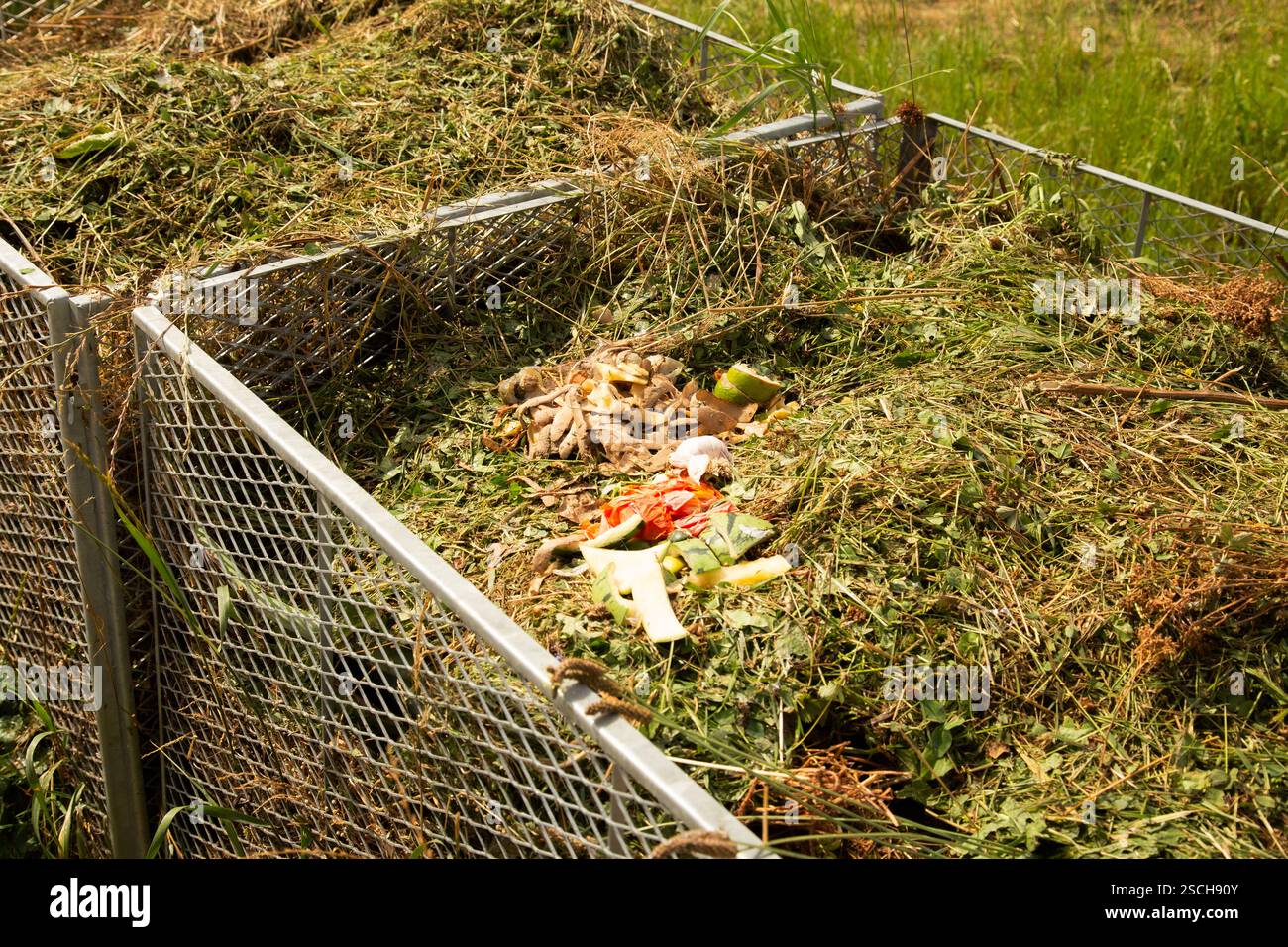 Composting vegetable scraps in a garden bin for sustainable organic ...