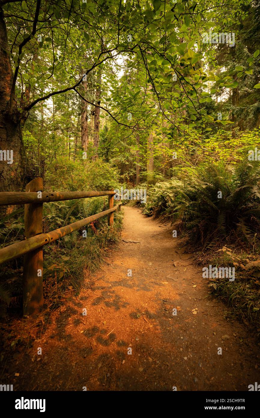 Sun casts orange glow through smoke, Deception Pass Stock Photo - Alamy