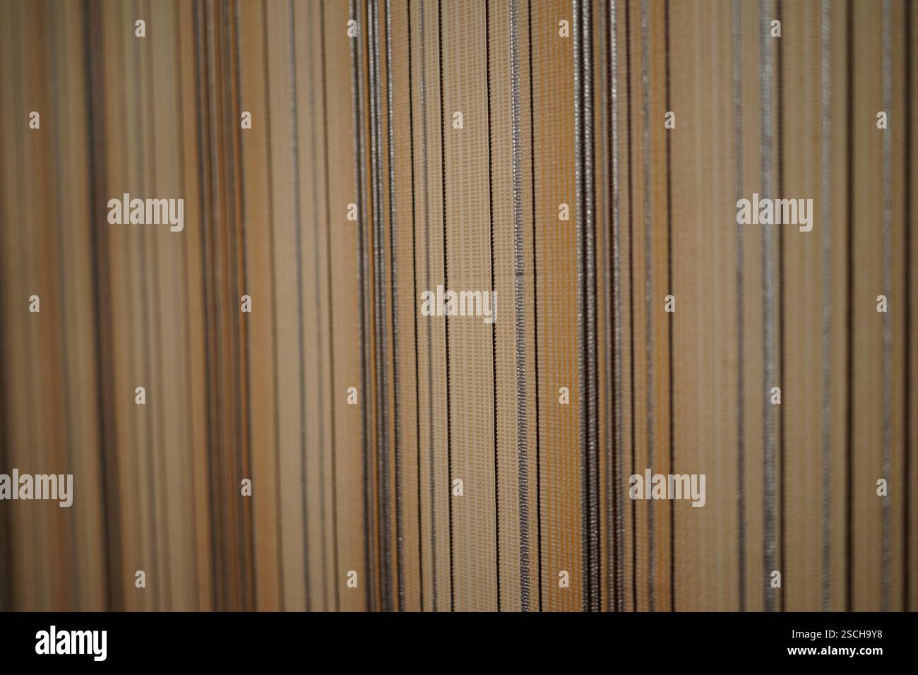 This image features a close-up of a textured wall adorned with vertical ...