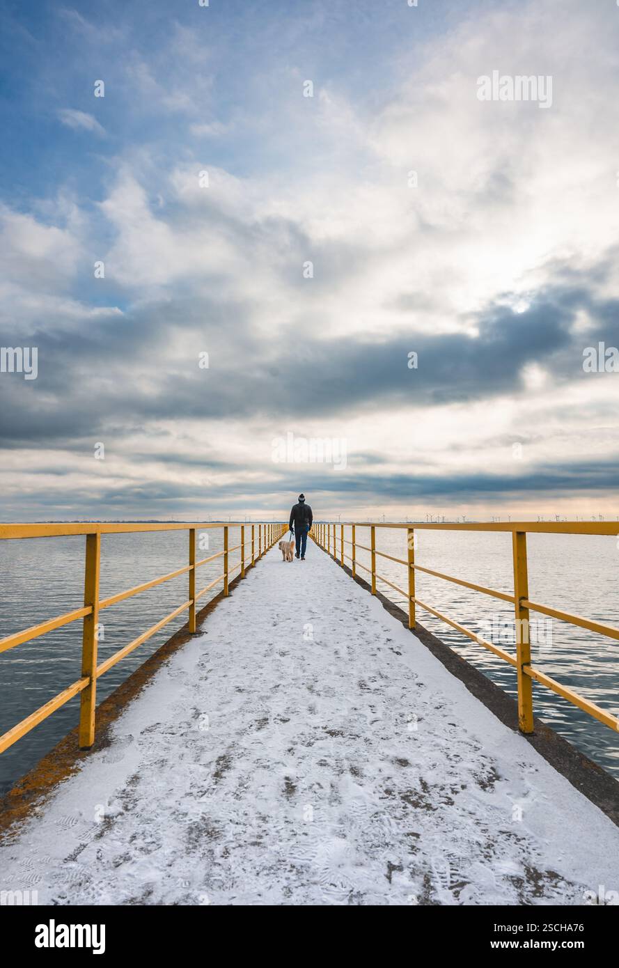 Dog walking towards bridge hi-res stock photography and images - Alamy