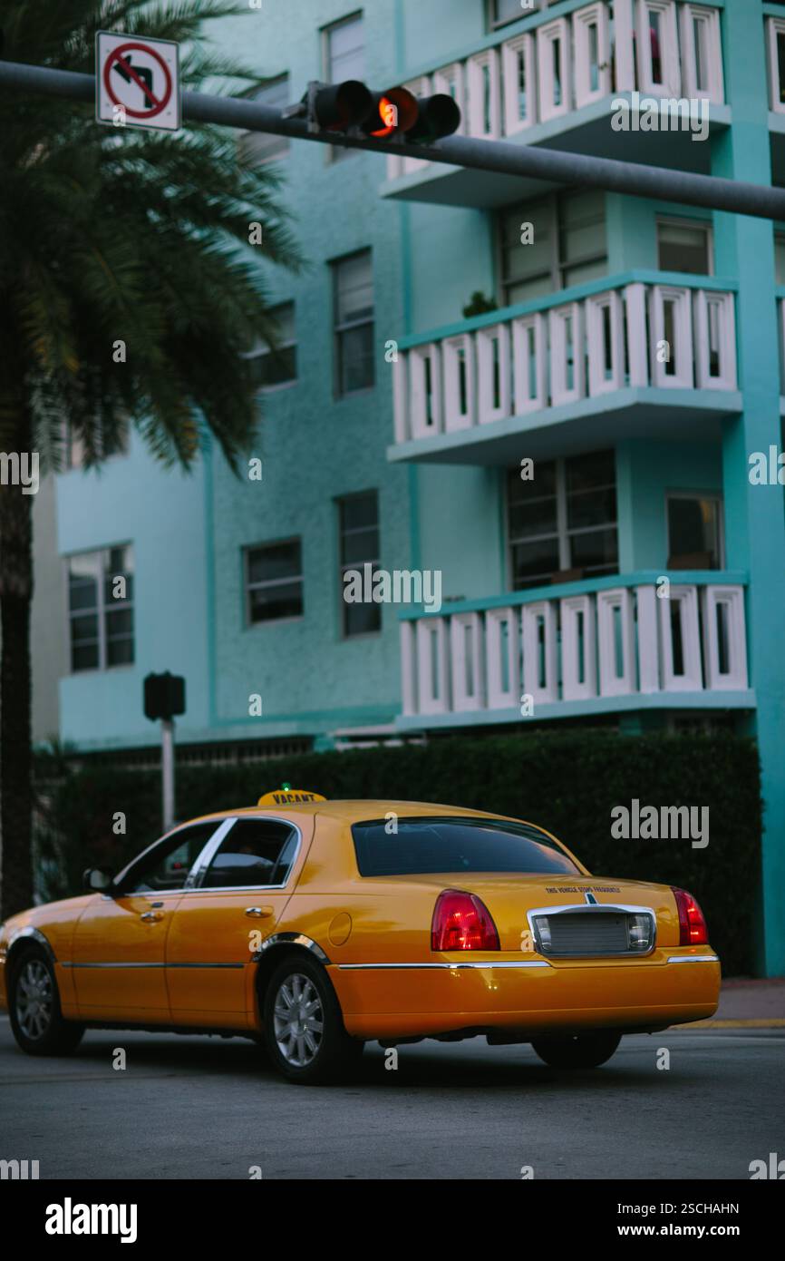 A bright yellow taxi cab parked on a palm-lined street in Miami with a ...