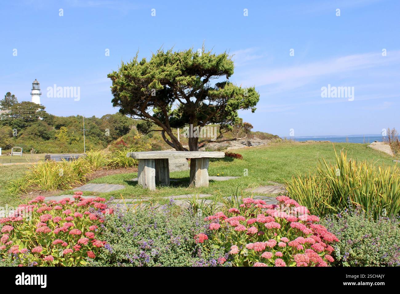 Bench and wildflowers hi-res stock photography and images - Alamy