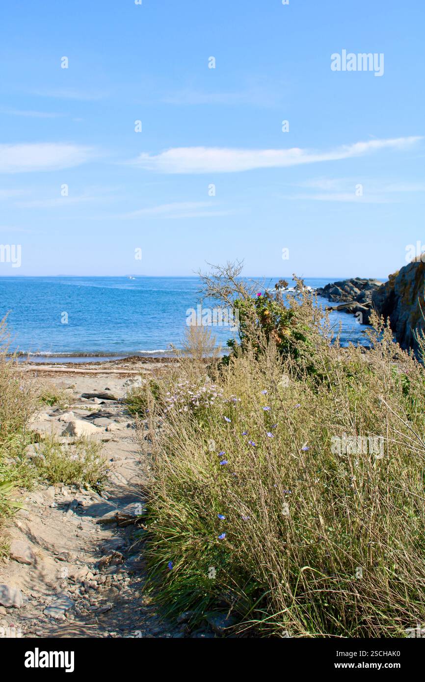 A sandy path leading to a beach Stock Photo - Alamy