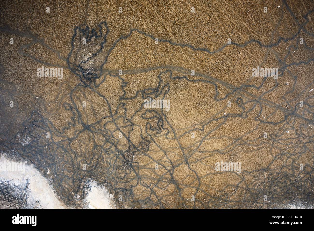 An aerial image showcasing intricate mud cracks and patterns on the ...